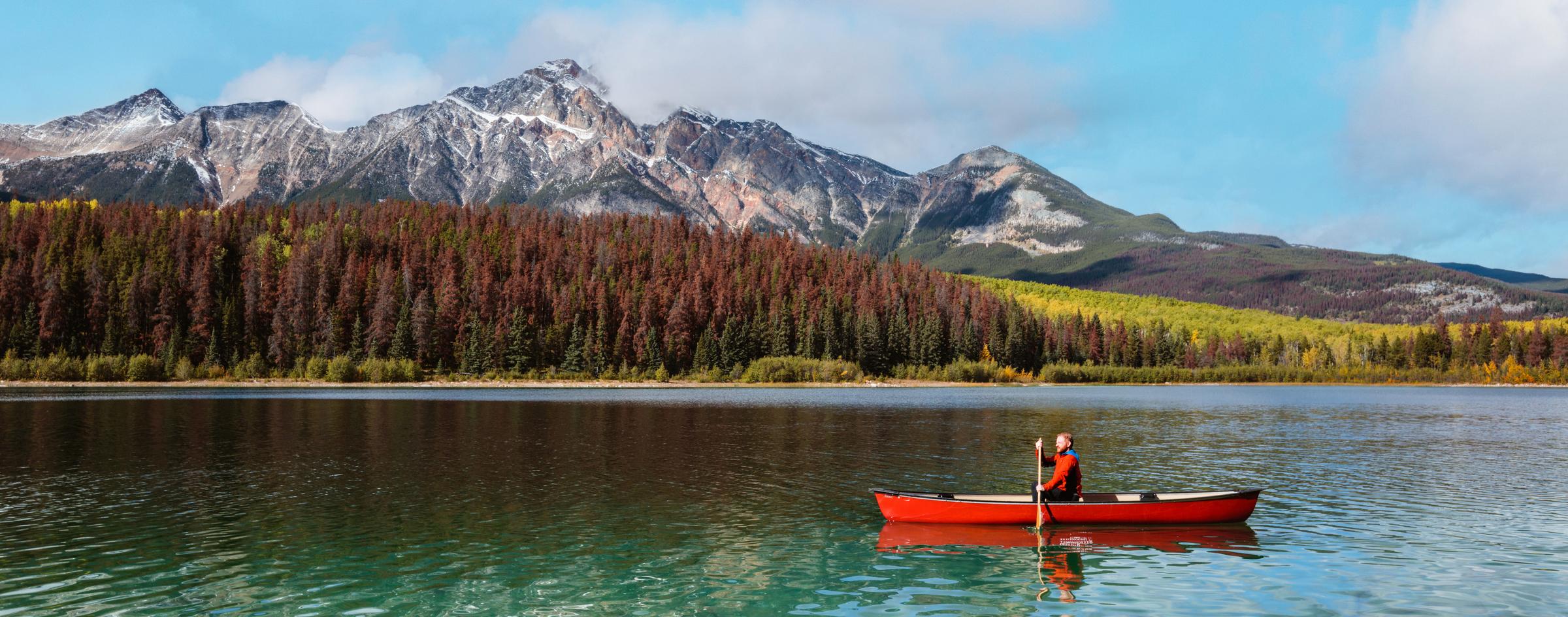 Book Flights Online | Air Canada