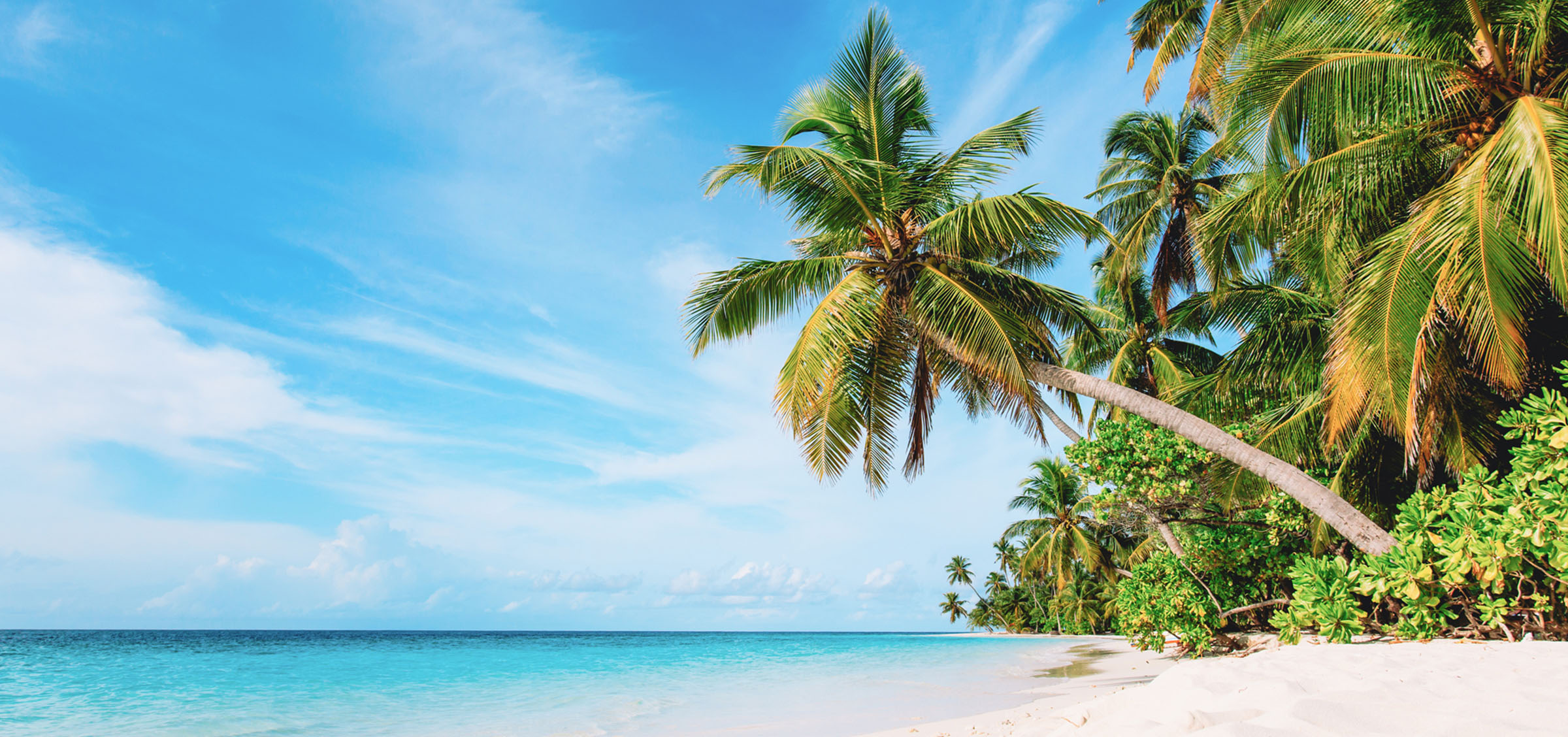 Book Flights Online | Air Canada